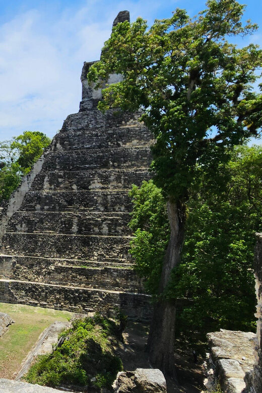 From Flores: Tikal Experience, Exclusive Tour - Authenticity and Practicality