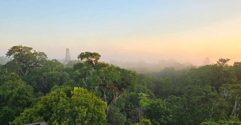 From Flores: Tikal National Park All Inclusive - A Closer Look at the Tikal All-Inclusive Tour