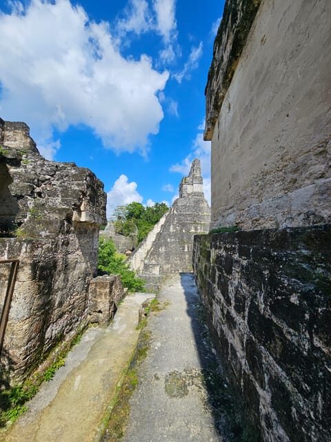 From Flores: Tikal National Park All Inclusive - Analyzing the Experience Based on Reviews