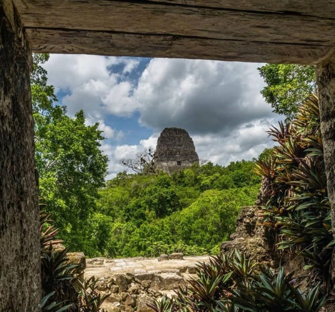 From Flores: Tikal National Park Private Day Trip with Lunch - Key Points