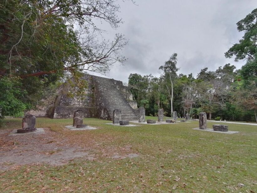 From Flores: Tikal Private Tour for Groups - Key Points