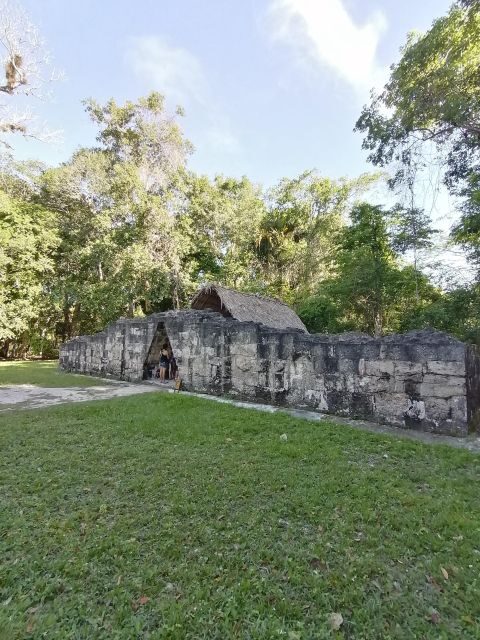 From Flores: Tikal Private Tour for Groups - Introduction: Why Choose This Tour?
