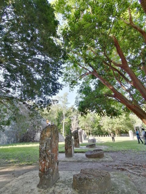 From Flores: Tikal Private Tour for Groups - Transportation and Comfort