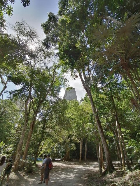 From Flores: Tikal Private Tour for Groups - Price and Value Analysis