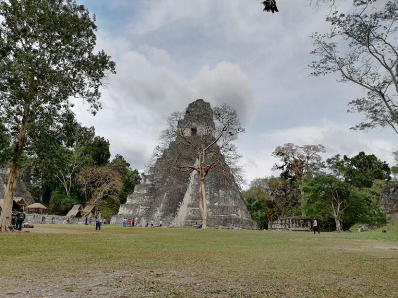 From Flores: Tikal Private Tour for Groups - Authenticity and Experience