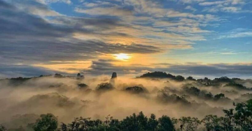 From Flores: Tikal Sunrise Extended Private Tour - An Overview of the Tikal Sunrise Extended Private Tour
