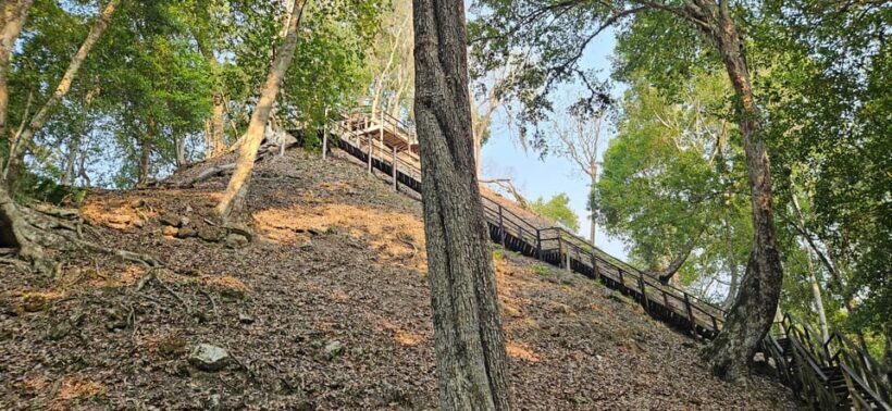 From Flores: Yaxha at Sunset Guided Tour - Key Points
