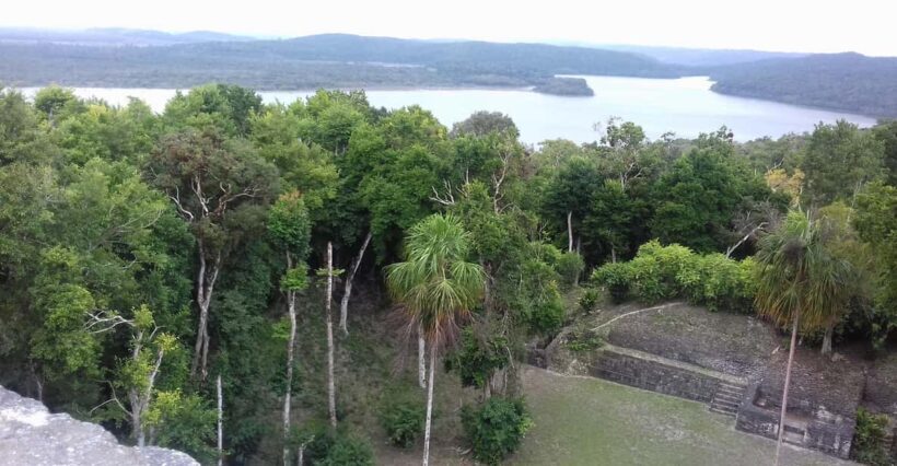 From Flores: Yaxha Ruins Guided Tour - Why This Tour Might Be Perfect for You
