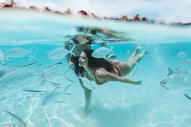 FROM FLORIDA: Bimini Bahamas Day Trip By Fast Ferry - The Itinerary: What to Expect