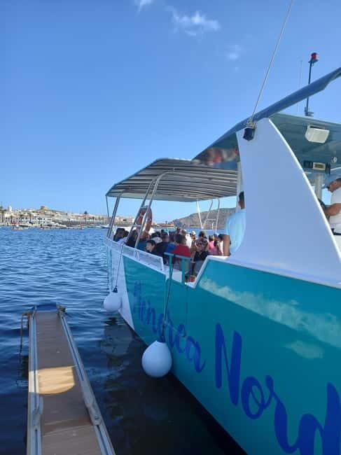 From Fornells: North Coast Beaches Cruise with Swim Stops - Who Will Love This Tour?