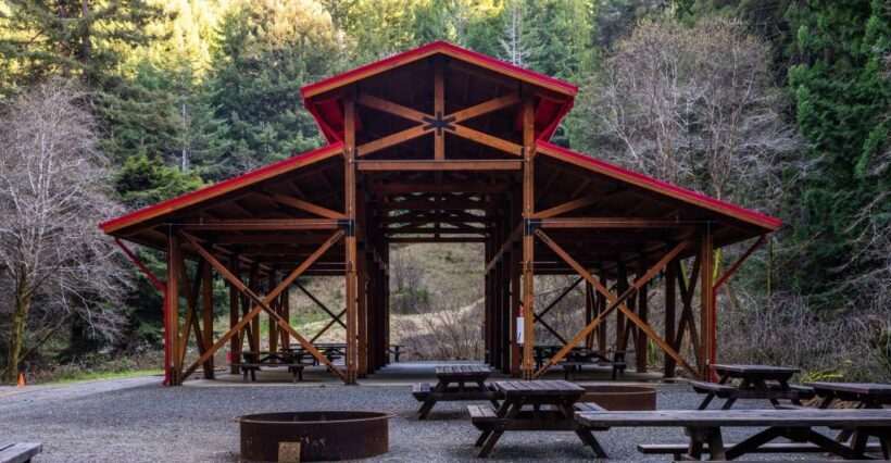 From Fort Bragg: Redwoods Train Ride and Nightclub Ticket - Analyzing the Value