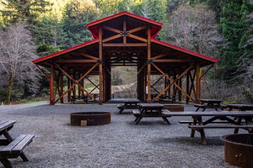From Fort Bragg: Redwoods Train Ride and Nightclub Ticket - The Sum Up