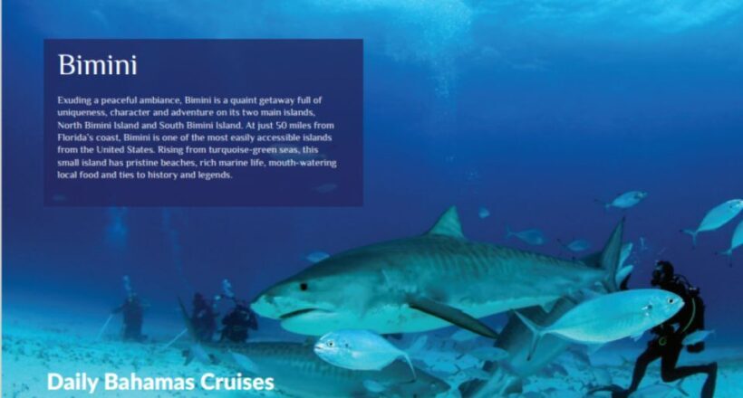 From Fort Lauderdale: Bimini Island Day Trip by Ferry - Analyzing the Pricing and Value