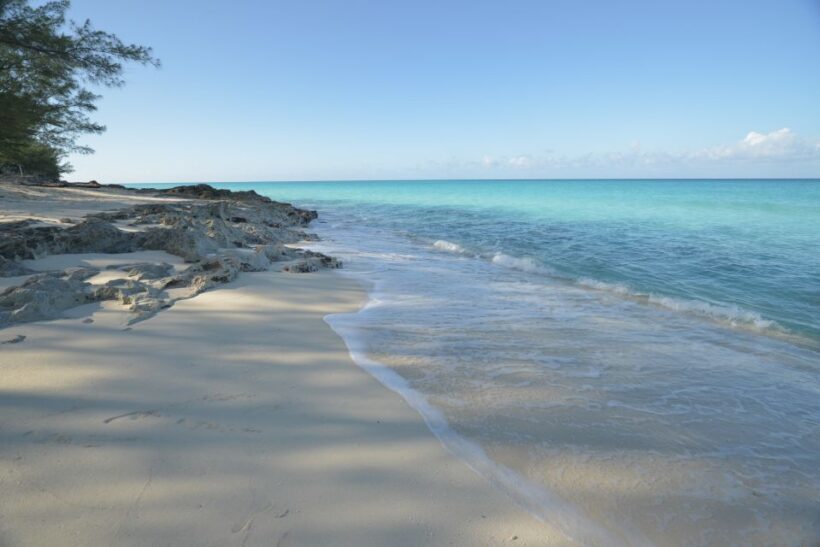 From Fort Lauderdale: Day Trip to Bimini - Who Is This Trip Best For?