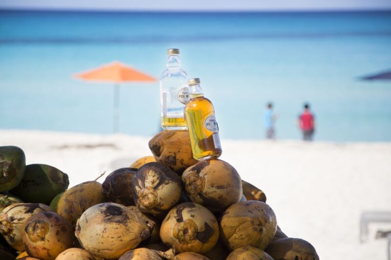 From Fort Lauderdale: Day Trip to Bimini - A Practical Look at the Fort Lauderdale to Bimini Day Trip