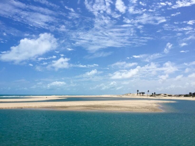 From Fortaleza: Águas Belas Beach Day Trip - Practical Details and Value