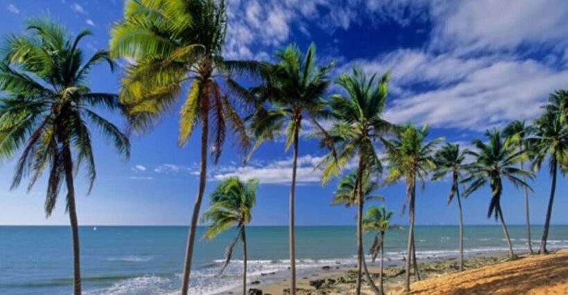 From Fortaleza: Lagoinha Beach Day Trip - Key Points