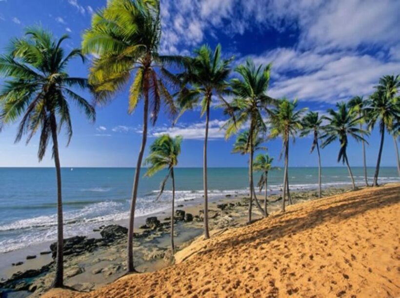 From Fortaleza: Lagoinha Beach Day Trip - The Itinerary: What You Can Expect