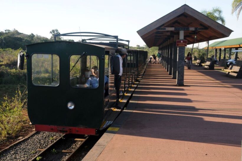 From Foz do Iguaçu: Argentinean Falls Tour with Pickup - What to Expect During the Day