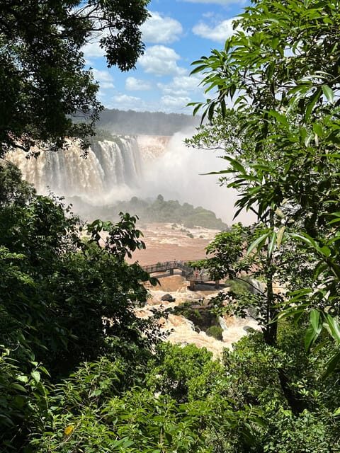 from Foz do Iguaçu: Private Tour on Iguaçu Falls - Who Should Consider This Tour?