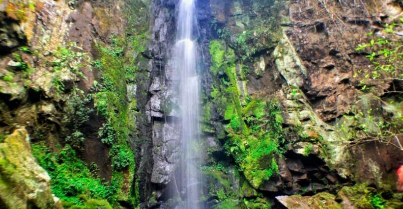 From Foz do Iguaçu: Secret Falls Adventure - FAQs