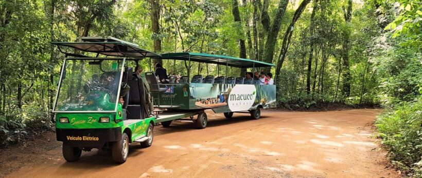 From Foz do Iguazu: Brazil Iguazu Falls & Macuco Safari Boat - Authentic Experiences and Traveler Feedback