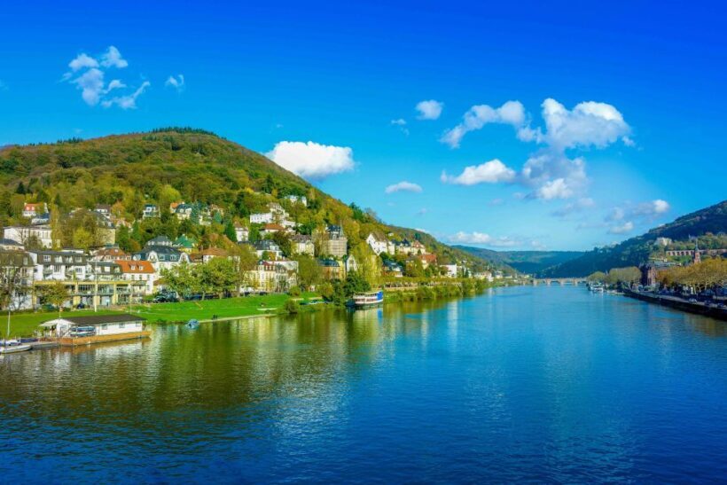 From Frankfurt: Rhine Valley Day Trip - Who Will Love This Tour?