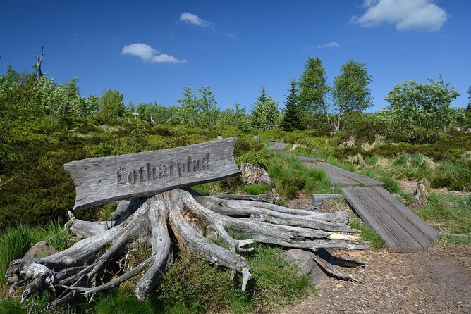 from Frankfurt - romantic Black Forest & brewery, private tour - Practical Details and Value