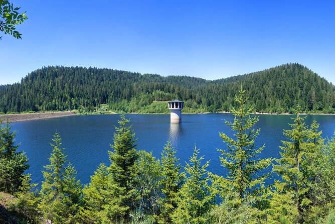 from Frankfurt - romantic Black Forest & brewery, private tour - Authentic Experiences and Genuine Encounters