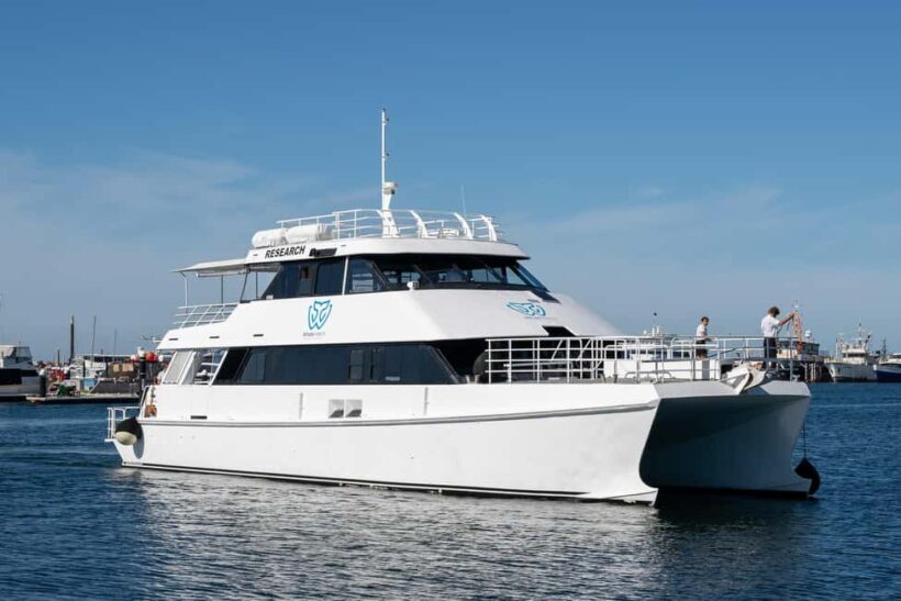 From Fremantle: 2-Hour Luxury Whale-Watching Cruise - FAQs