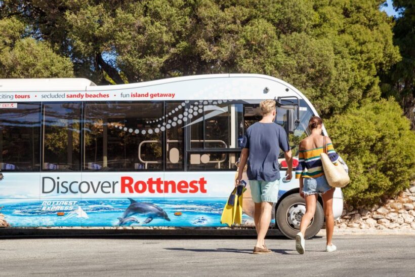 From Fremantle: Rottnest Island Ferry & Bus Day Tour - A Practical Look at the Rottnest Island Day Tour