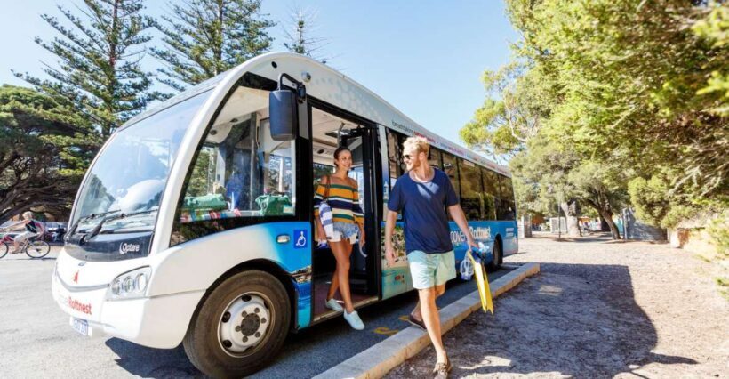 From Fremantle: Rottnest Island Ferry & Bus Day Tour - Final Thoughts: Is This Tour Right for You?