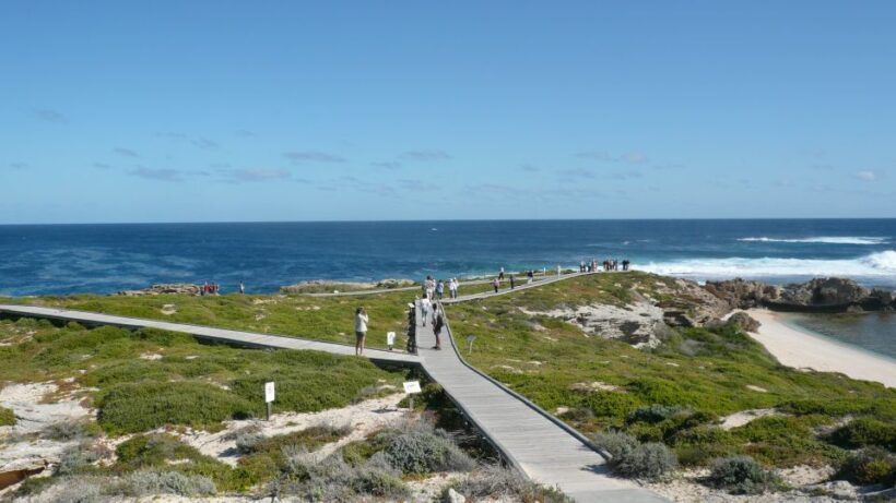 From Fremantle: Rottnest Island Ferry & Bus Day Tour - Frequently Asked Questions