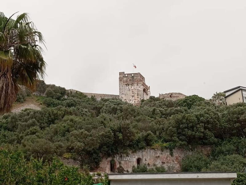 From Fuengirola: Gibraltar Day Trip - Who Will Love This Trip?