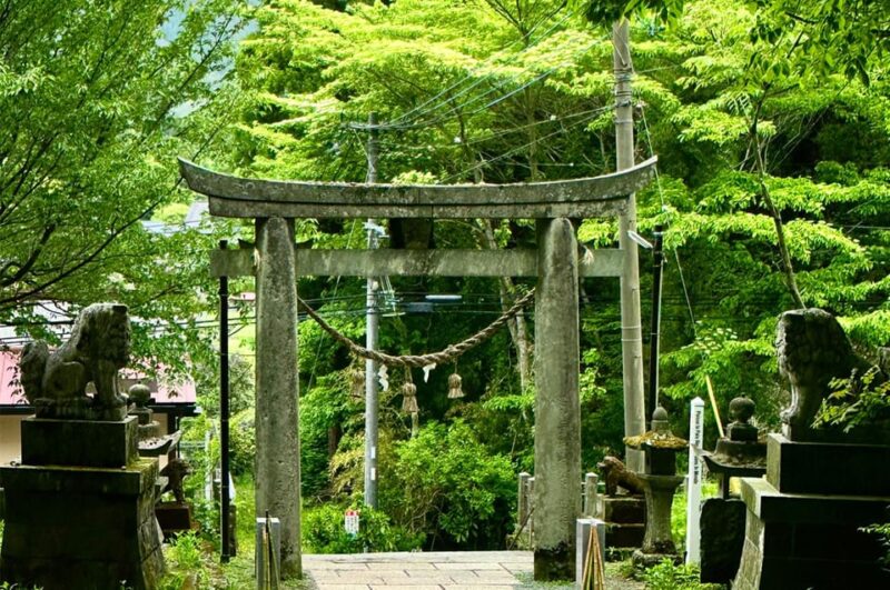 From Fukuoka: Miyazaki, Kumamoto, and Takachiho Gorge Tour - Takachiho Gorge: Scenic Wonders