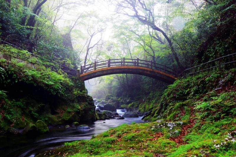 From Fukuoka: Miyazaki, Kumamoto, and Takachiho Gorge Tour - Traveler Reviews and Ratings