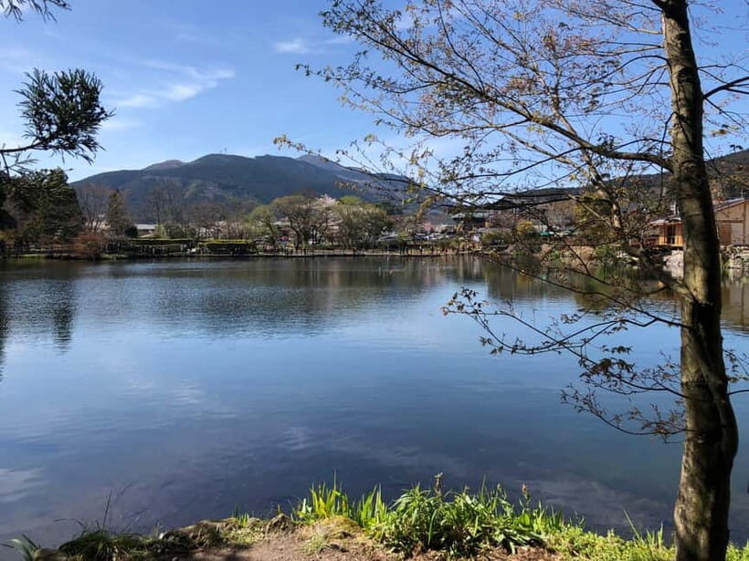 From Fukuoka: Yufuin, Hita, and Beppu Day Trip - Exploring Kyushu in a Day: A Practical Overview