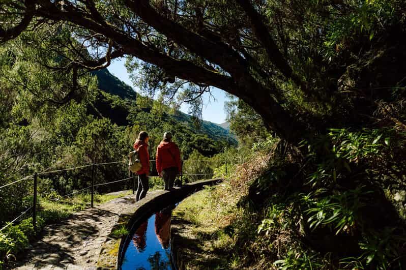 From Funchal/Caniço: Rabaçal Hike (25 Fontes) Bus Transfer - The Sum Up