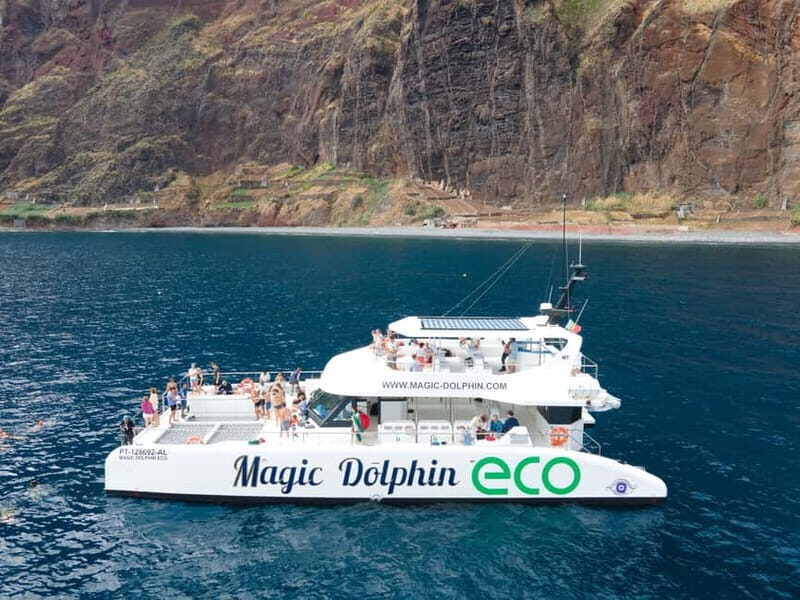 From Funchal: Ecological Catamaran Dolphin Whale Watching - Exploring the Experience: What to Expect