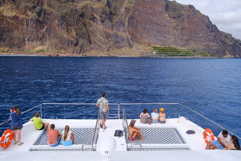 From Funchal: Ecological Catamaran Dolphin Whale Watching - The Sum Up