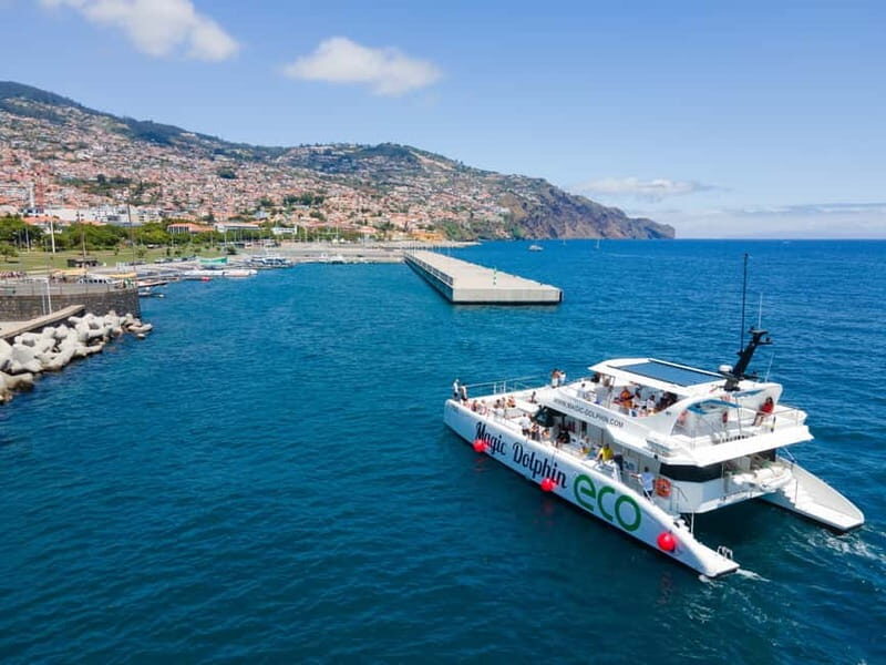 From Funchal: Ecological Catamaran Dolphin Whale Watching - FAQs