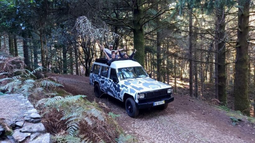 From Funchal: Jeep Tour with Madeira Wine Tasting - Final Impressions