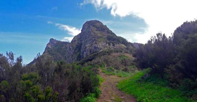 From Funchal: Machico to Porto da Cruz Larano Cliff Hike - Key Points