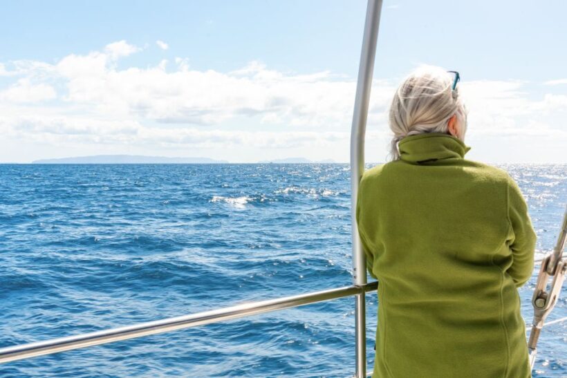 From Funchal: Madeira Dolphin and Whale Watching Tour - An Honest Look at the Madeira Dolphin and Whale Watching Tour