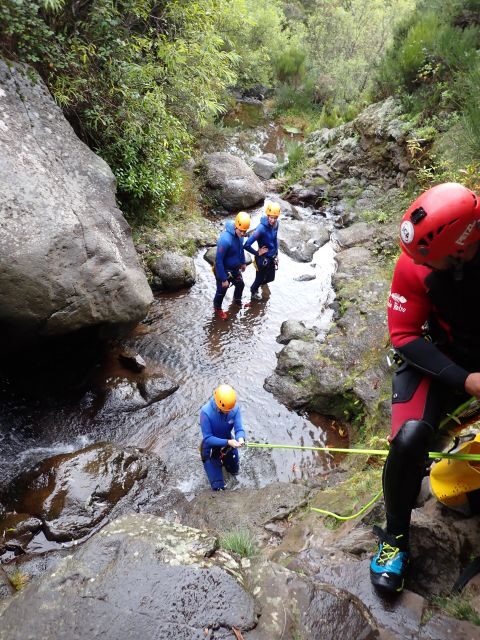 From Funchal: Madeira Island Canyoning for Beginners - Who Will Get the Most Out of It?