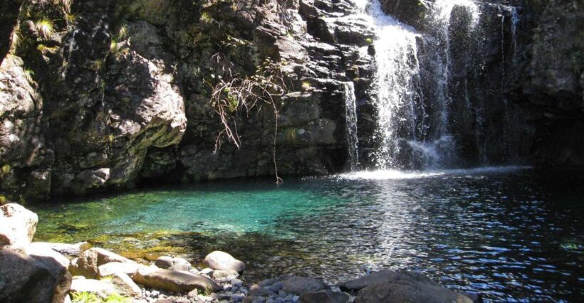 From Funchal: Madeira Lakes Levada Guided Hike - An In-Depth Look at the Madeira Lakes Levada Guided Hike