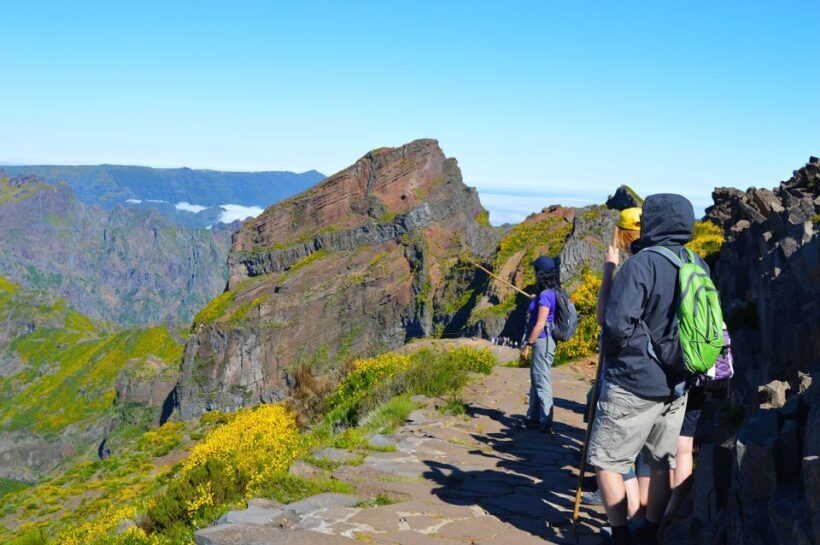 From Funchal: Madeira Peaks Mountain Walk - Exploring the Itinerary