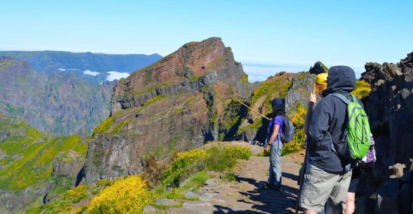 From Funchal: Madeira Peaks Mountain Walk - The Challenges