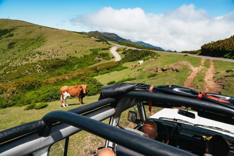 From Funchal: Porto Moniz and Seixal Day Tour by Jeep - The Sum Up