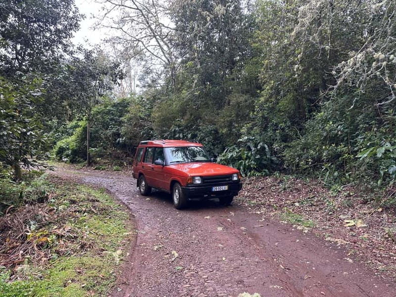 From Funchal: Private Eastern or Western Jeep Tour - What’s Included and What to Keep in Mind
